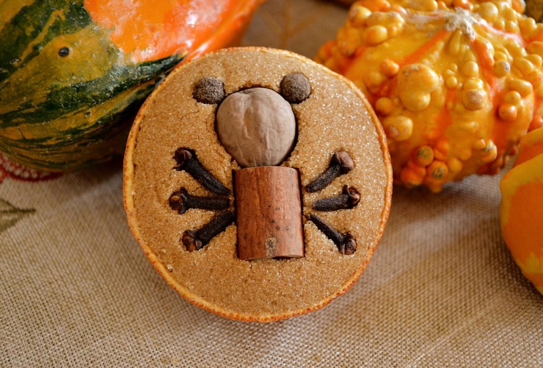 Cider Beetle | Hendley Market